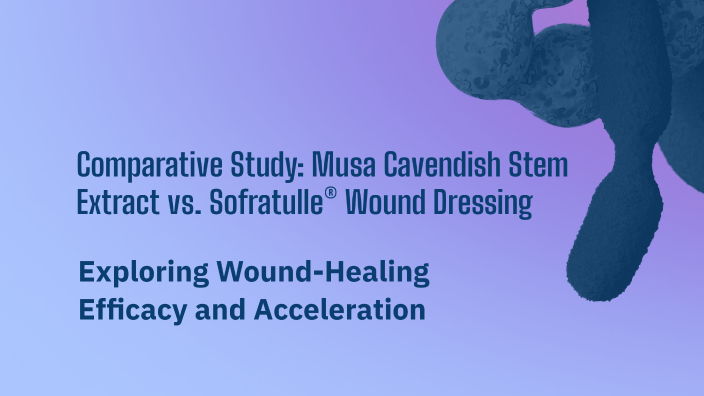 Comparative Study: Musa Cavendish Stem Extract vs. Sofratulle® Wound ...
