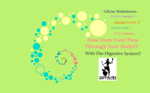 How Does Food Pass Through Your Body?? by science cole