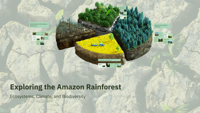 Exploring the Amazon Rainforest by Mubiru Mark on Prezi