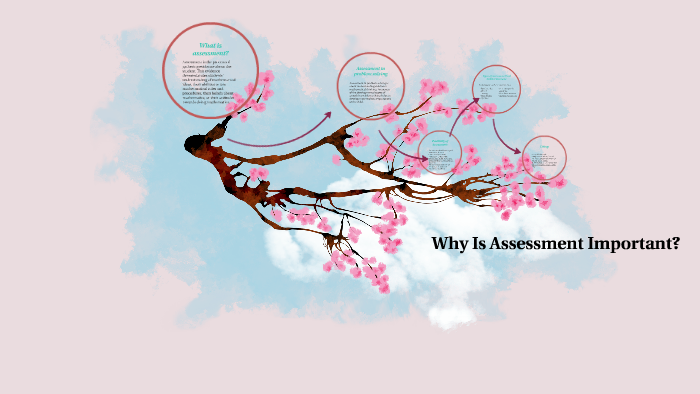 Why Is Assessment Important By Taylor Morrison why-is-assessment-important-by-taylor-morrison