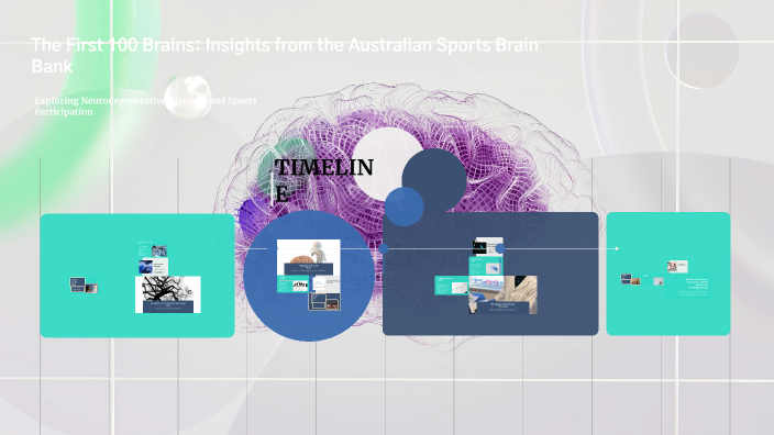 100 Brains Demo Report by Catherine Suter on Prezi