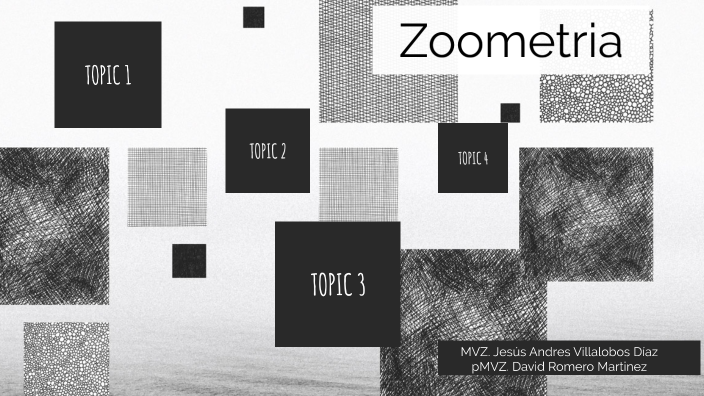 zoometria by DAVID ROMERO on Prezi