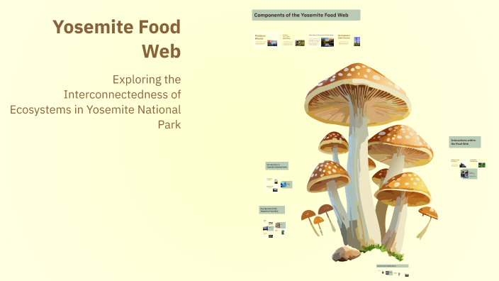 Yosemite Food Web by Brayden Flinders on Prezi