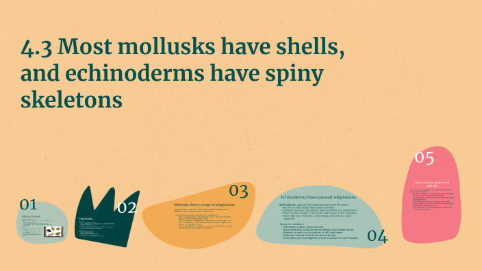 4.3 Most mollusks have shells, and echinoderms have spiny skeletons by ...