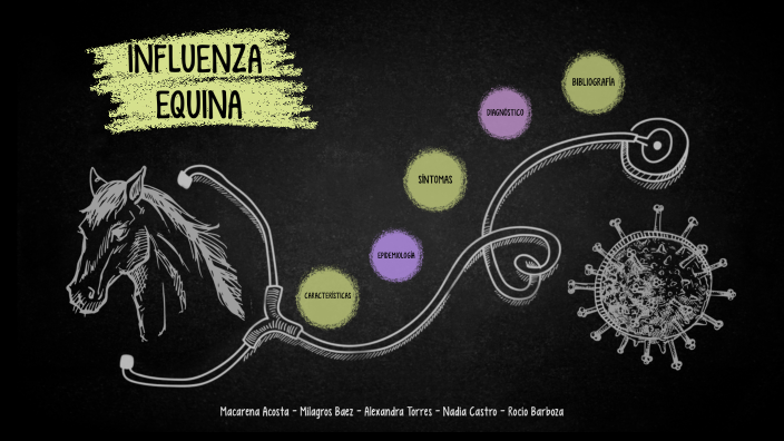 Influenza Equina by Gaston Ferre on Prezi