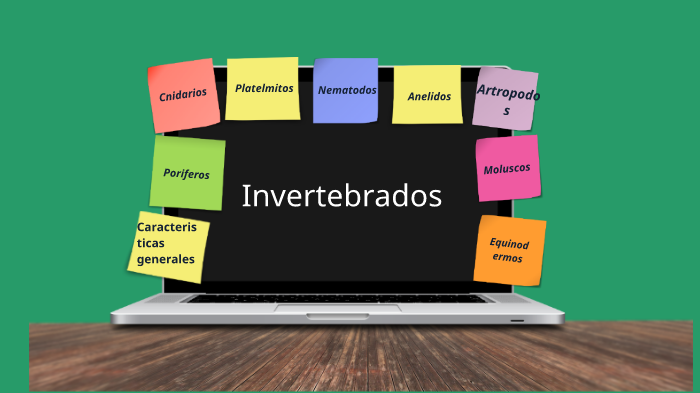 Invertebrados by Erika Riera on Prezi