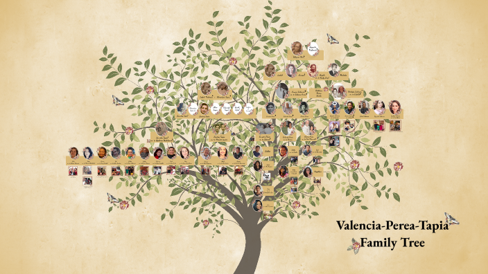 Valencia-Perea-Tapia-Family Tree by Lexi Bartolome on Prezi