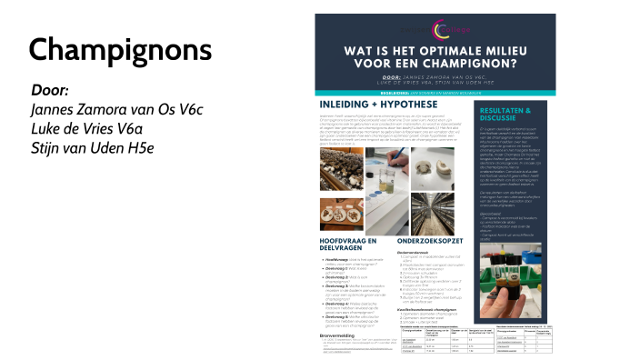 PWS - presentatie by Luke de Vries on Prezi