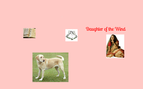 shabanu daughter of the winds by melissa baldi on Prezi