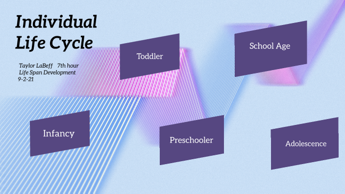 Individual Life Cycle by Taylor LaBeff on Prezi
