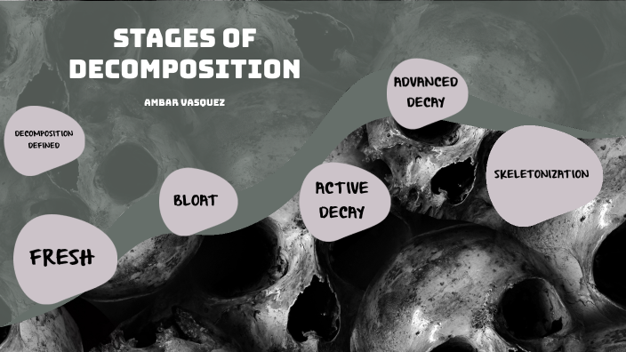 Stages of Decomp by ambar vasquez on Prezi