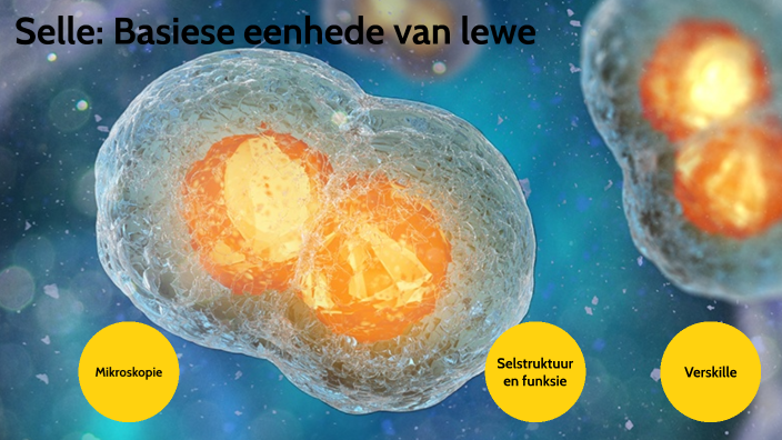 Eenheid 2: Basiese eenhede van lewe by Nina Reynolds on Prezi