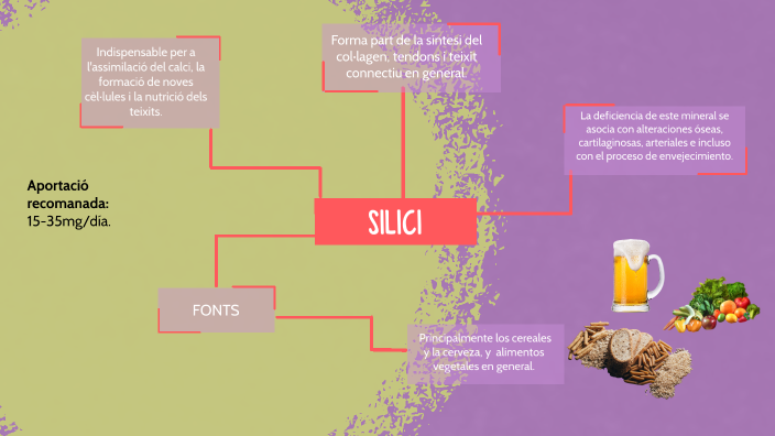 Els nutrients by Mireia Servera Franco on Prezi