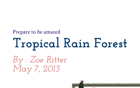 Tropical Rain Forest by Zoe Ritter on Prezi