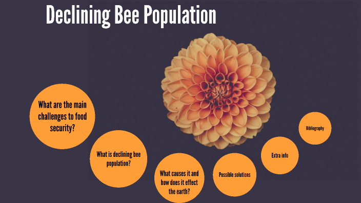 declining bee population by Emmy van Lierop on Prezi