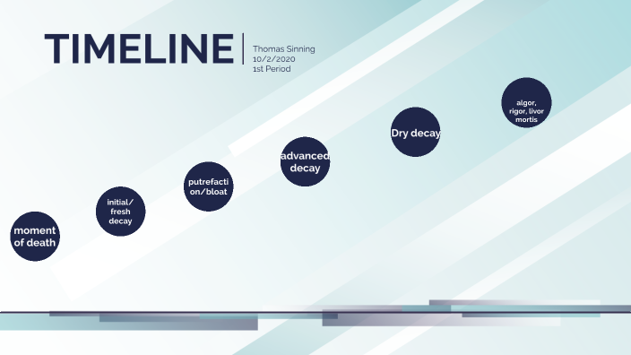 Decomposition Timeline by Thomas Sinning on Prezi