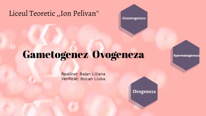 Gametogeneza, Ovogeneza by Lilika Bn on Prezi