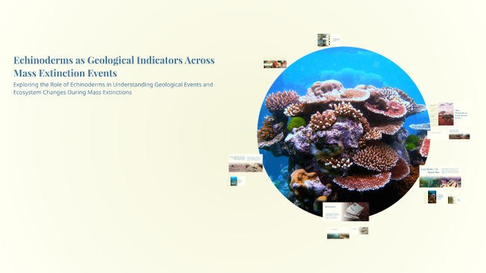 Echinoderms as Geological Indicators Across Mass Extinction Events by ...