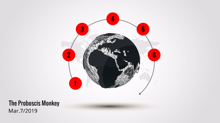 The Proboscis Monkey Food Web by ethan liu on Prezi