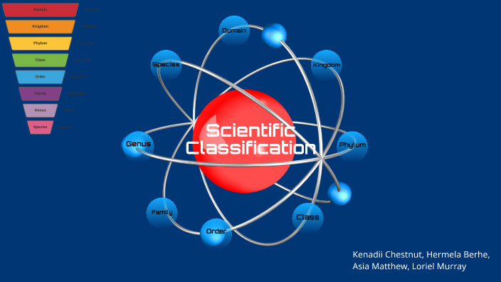 Seven Major Levels of Scientific Classification by Loriel Murray on Prezi