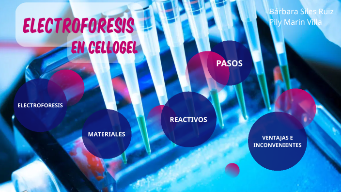 Electroforesis en Cellogel by Bárbara Siles Ruiz on Prezi