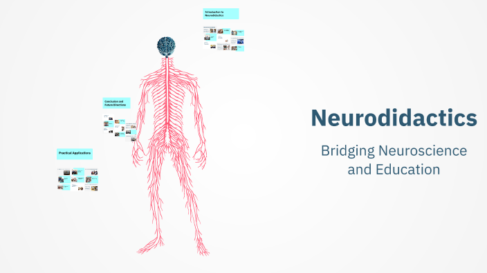 Neurodidactics by Wioleta Jacolik on Prezi