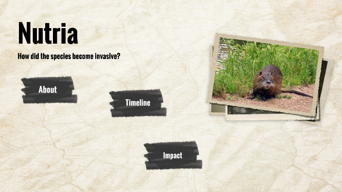 Nutria - The Invasive Species by John McKenna on Prezi