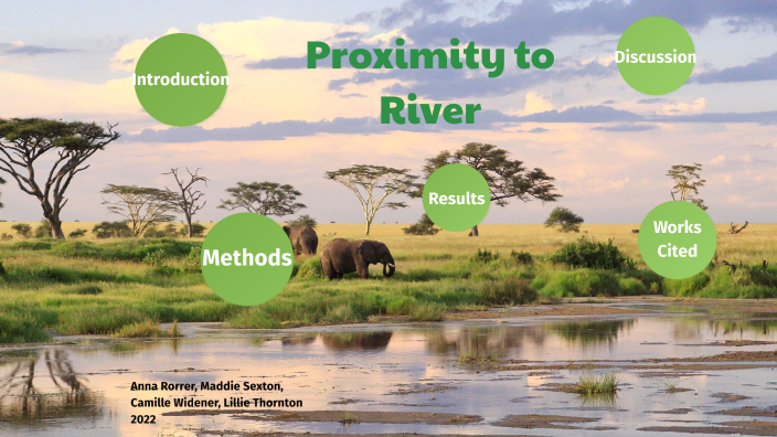 BioLab Warthog vs. Cheetah Presentation by Anna Rorrer on Prezi