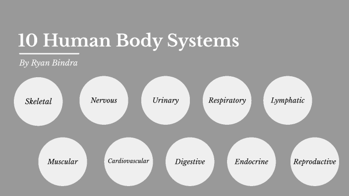 10 Human Body Systems by Ryan Jacob Bindra on Prezi