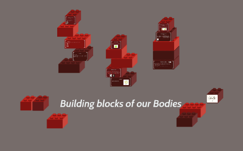 Building blocks of our Bodies by Dhanvin Lad