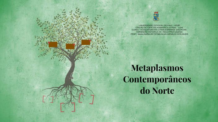 Metaplasmos Contemporâneos by Paula Lopes on Prezi