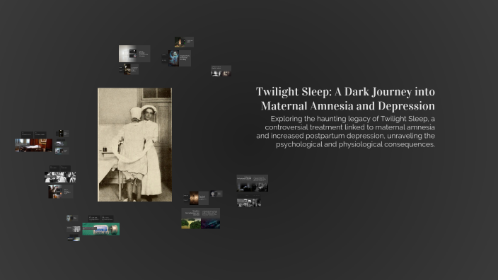 Twilight Sleep: A Dark Journey into Maternal Amnesia and Depression by ...