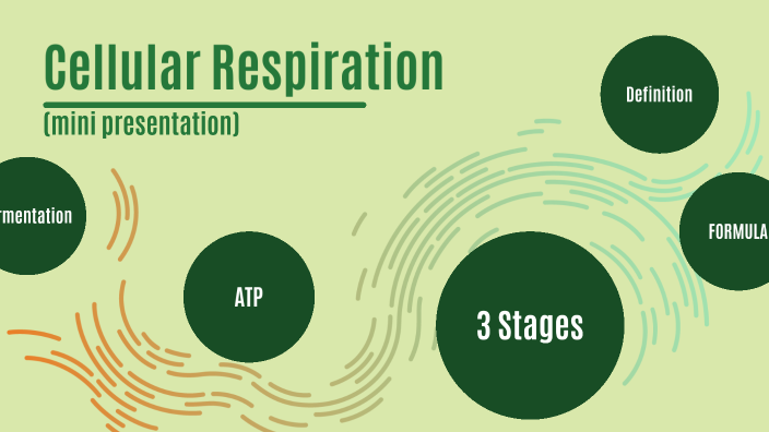 Cell Respiration Presentation by Lili LeFors on Prezi