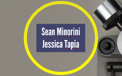 Sean Minorini by Jay Tapia on Prezi