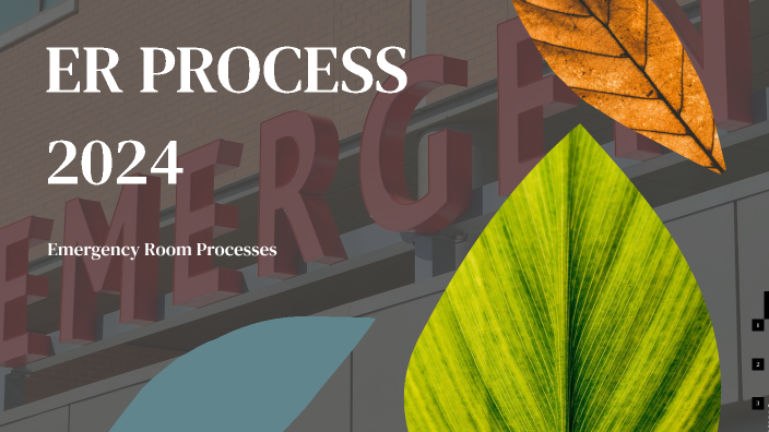 ER PROCESS 2024 by Morgan Gaede on Prezi