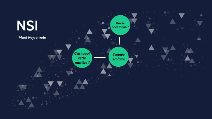 Présentation spé NSI by Maël Peyremole on Prezi