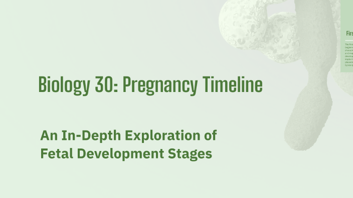 Biology 30: Pregnancy Timeline by Bea Alkhiami on Prezi