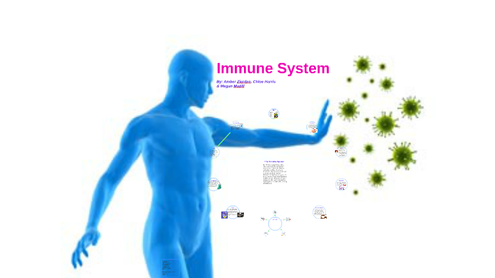 Immune System by Amber Zierden on Prezi