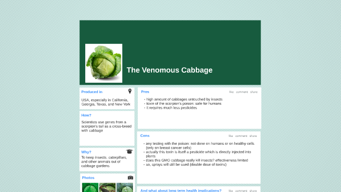 The Venomous Cabbage by Francesca Ferrari on Prezi