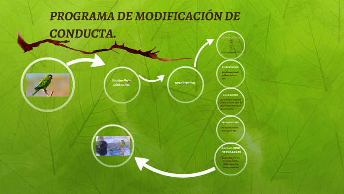 PROGRAMAS DE MODIFICACION DE CONDUCTA. by Diana Cortes on Prezi