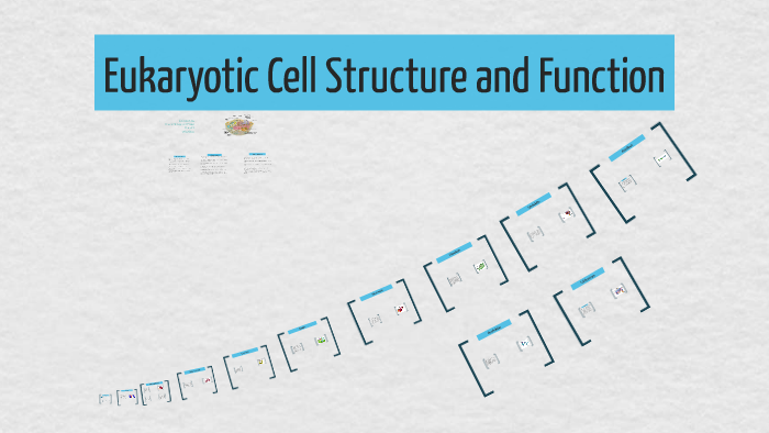 Eukaryotic cell Structure and Function by Jay Sung on Prezi