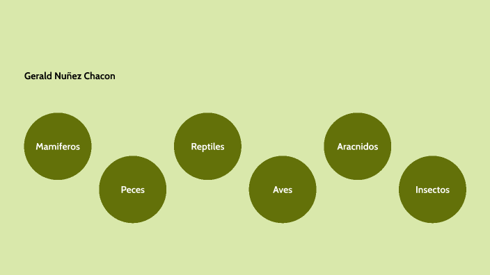 Reino animal by Gerald Nunez Chacon on Prezi