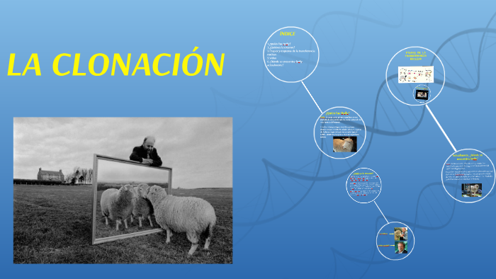 Etapas de la transferencia nuclear by Ana Belén Estudillo on Prezi