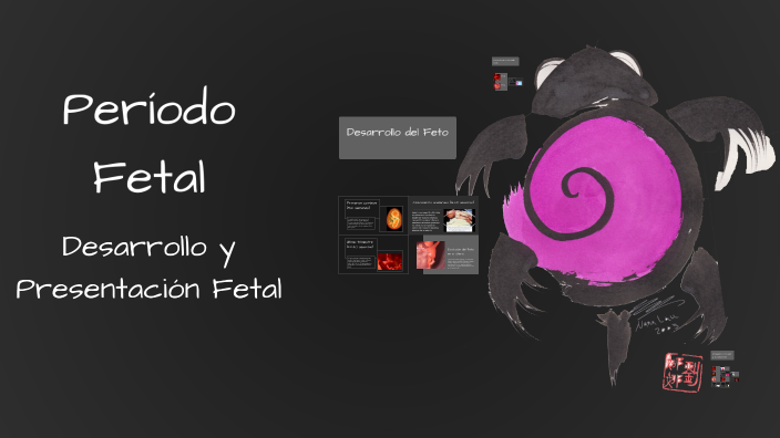 Período Fetal by Gabriel Legaspi on Prezi