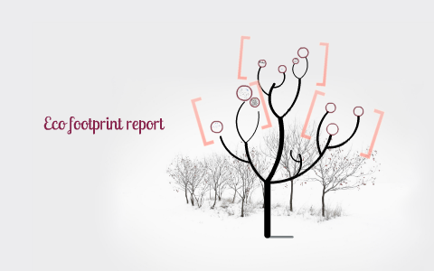eco footprint report by roshane taylor on Prezi
