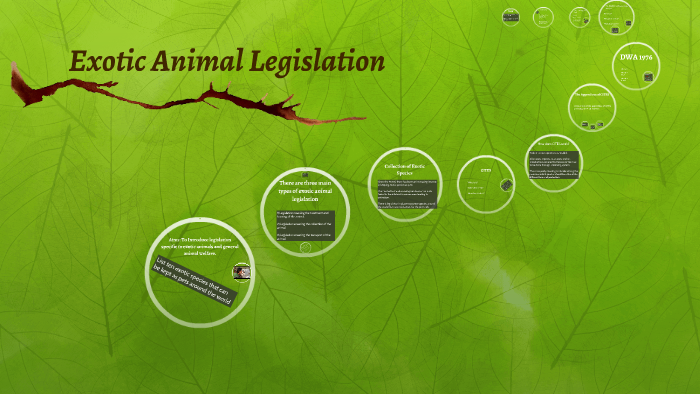 Exotic Animal Legislation by Emma Cross on Prezi