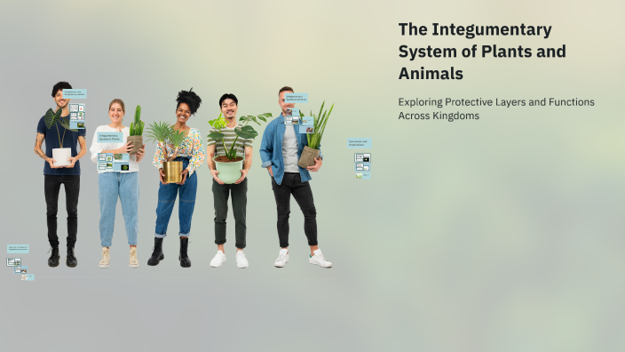 The Integumentary System of Plants and Animals by Raizelle Khem Singuay ...