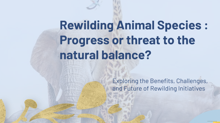 Rewilding Animal Species: A Path to Ecological Revival by Maxence AUDIN ...