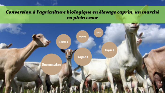 Conversion à l’agriculture biologique en élevage caprin, un marché en ... Conversion à l’agriculture biologique en élevage caprin, un marché en ...