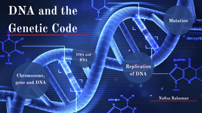 DNA and the genetic code by Nafisa Rahaman on Prezi